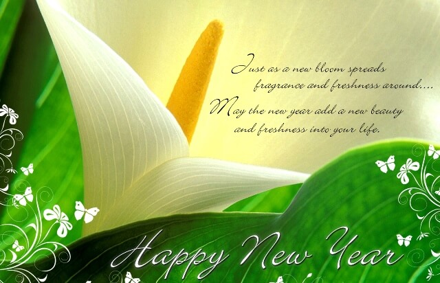 Happy New Year Status And Quotes For 2017 | Whatsapp Status Hut